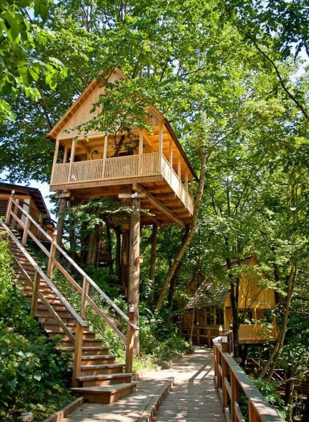 How to Build a Treehouse Without Damaging the Tree - treelofts.com