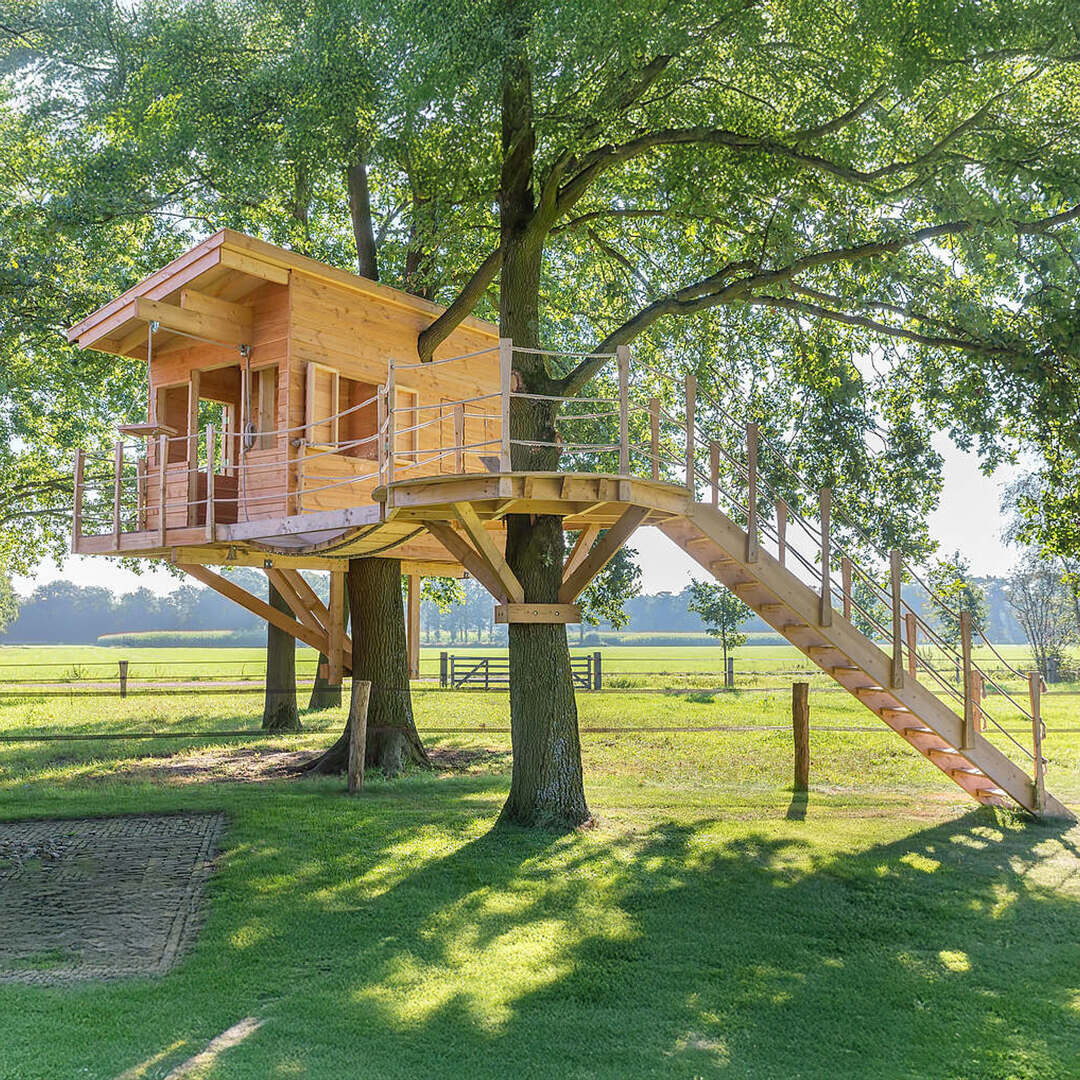 5 Must-Have Treehouse Hardware Essentials for a Safe and Durable Treehouse