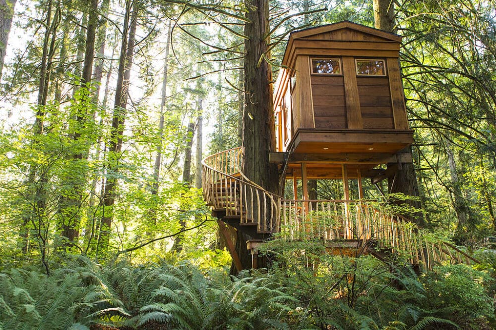 Treehouse Masters Cost: How Much Does a Custom Treehouse Really Cost ...