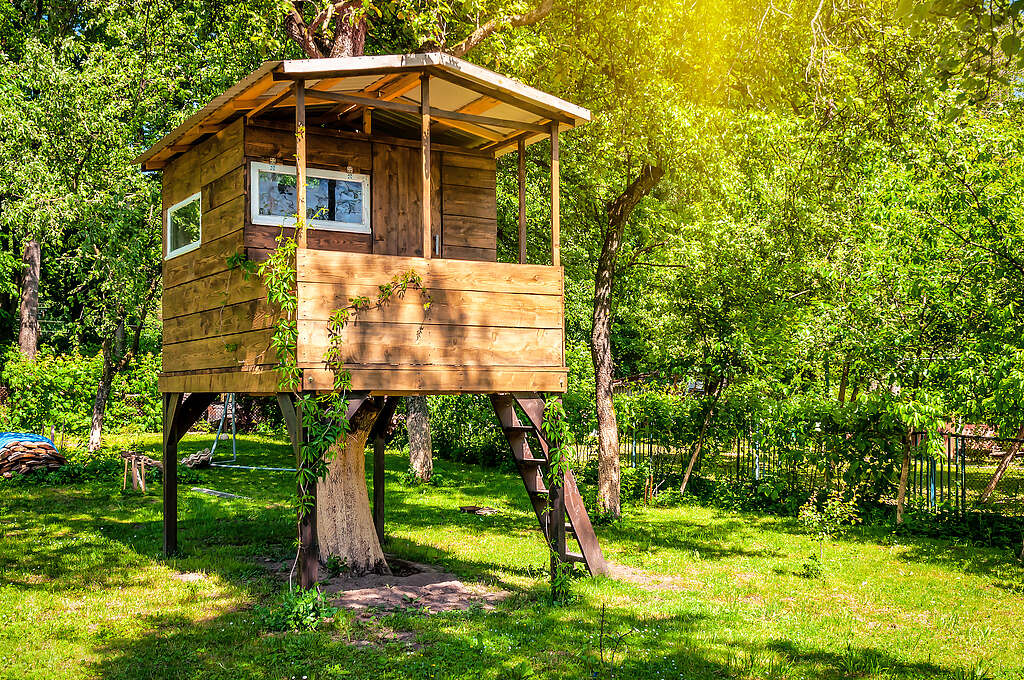 Treehouse Masters Cost: How Much Does a Custom Treehouse Really Cost ...