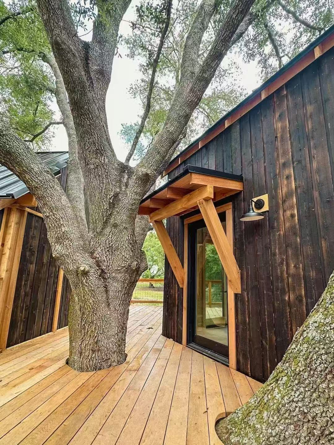 Treehouse Curtain Ideas for Privacy and Shade - treelofts.com